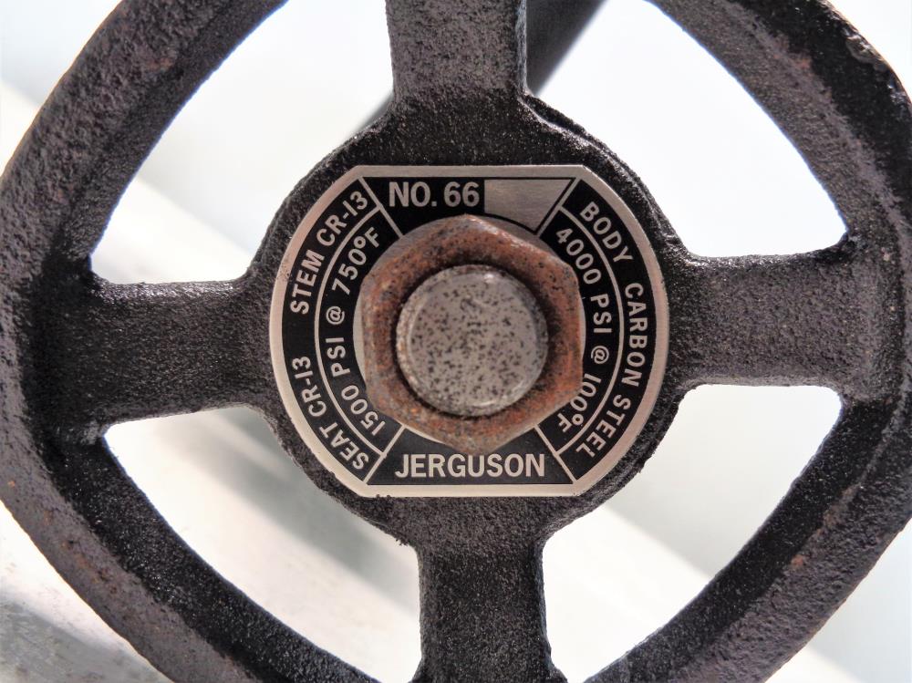 Jerguson Sight Glass 17-??-20 with #66 Flanged Gagecock Valves 1/2" NPT