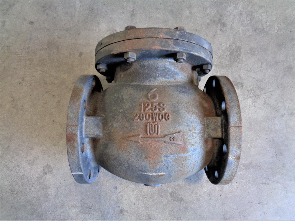 Milvaco 6" 125S IBBM Swing Check Valve, Cast Iron, Fig# 2974M