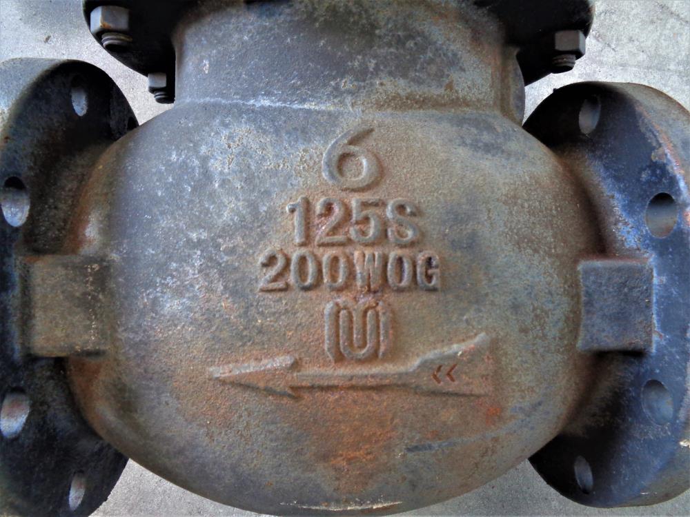 Milvaco 6" 125S IBBM Swing Check Valve, Cast Iron, Fig# 2974M