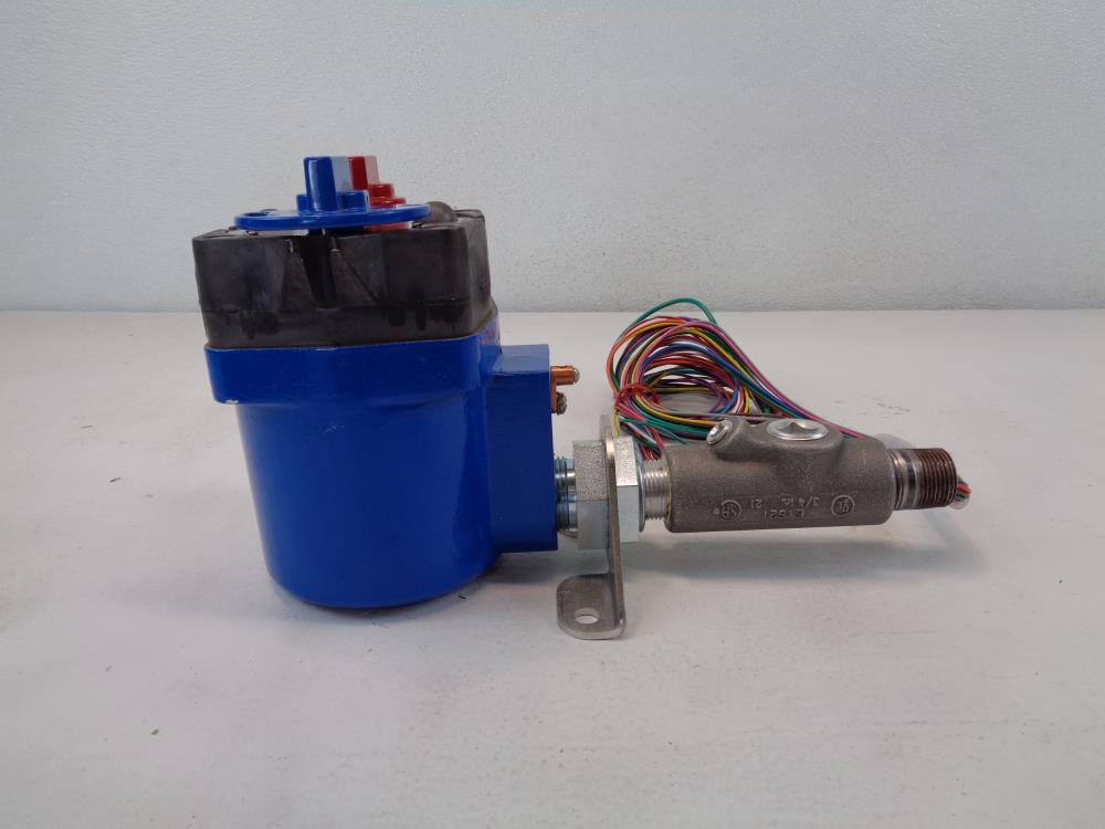 Flowserve Limitorque Explosion Proof MX Remote, Model CSE