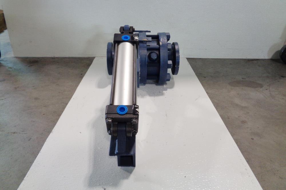 Everlasting Valve 2.0" 150 Lb. Figure #DD151C1NA with Starcyl Star3 Air ...