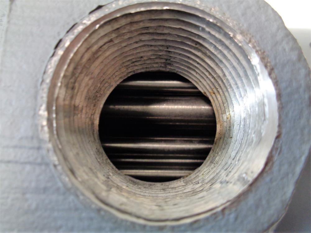 Young Touchstone Fixed Bundle Heat Exchanger, Model SSF-301-HY-1P, Part ...