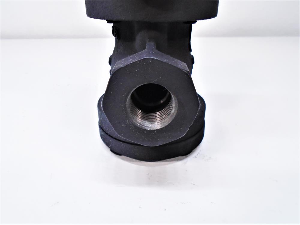 Armstrong GP-1000 HA 3/4" NPT Pressure Reducing Valve, 250 PSIG ...