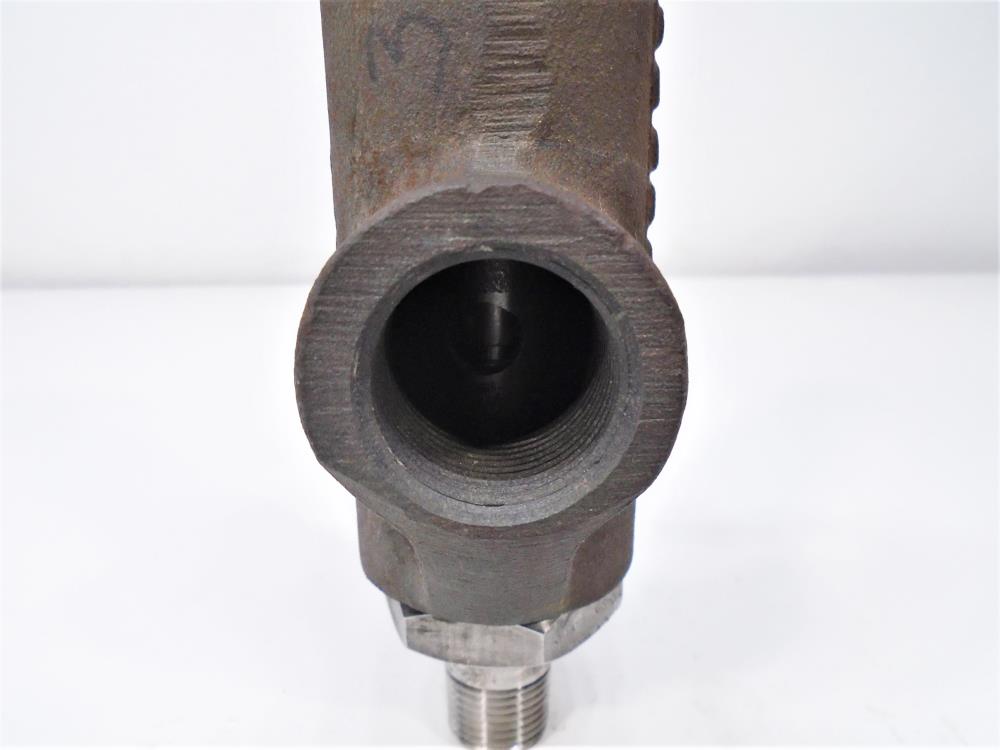 Dresser Consolidated Relief Valve #1990C-1, WCC, 1/2" MNPT x 1" FNPT ...