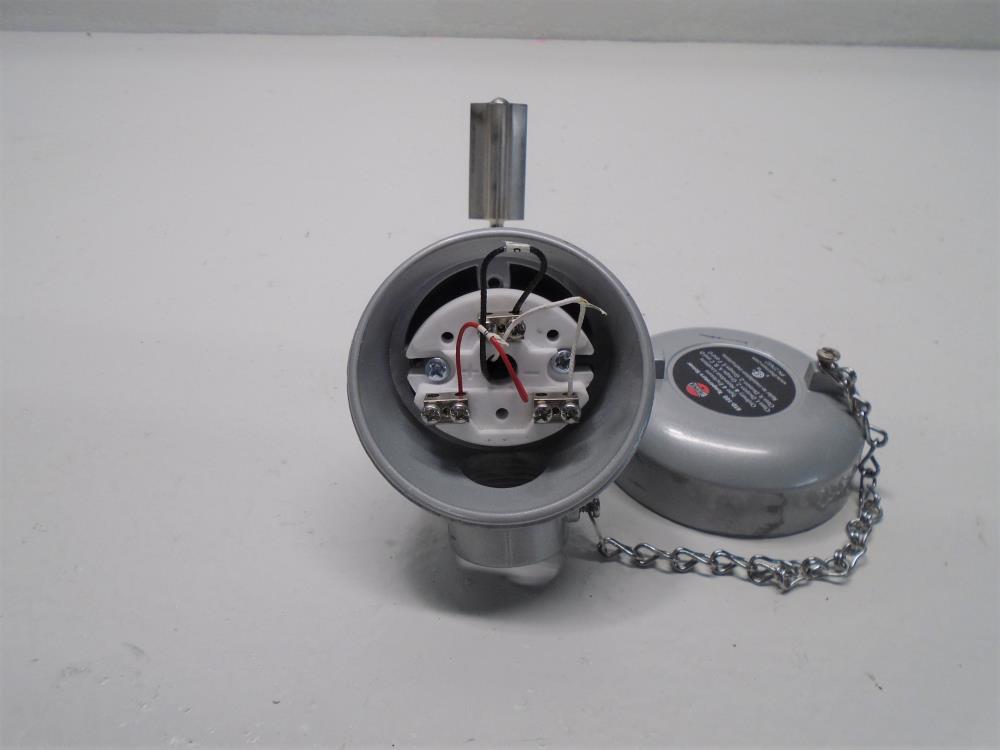 LOT of (2) Thermon RTD-100 Temperature Sensor, 3/4" NPT