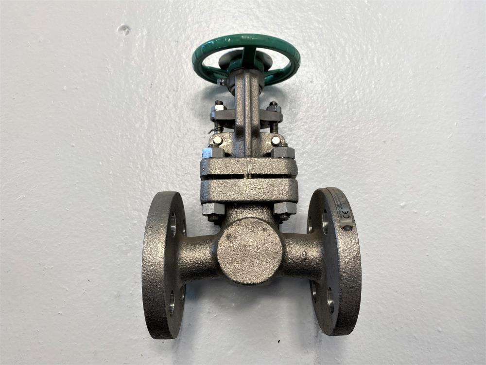 Kitz 3/4" 300# Raised Face CF8M Gate Valve 300UMAM