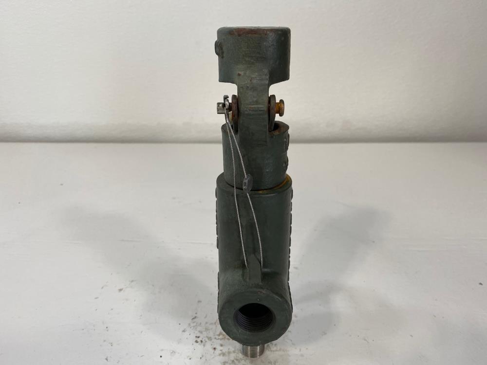 Hydroseal 1/2" NPT 100# WCB Relief Valve 1BV0LN/B5