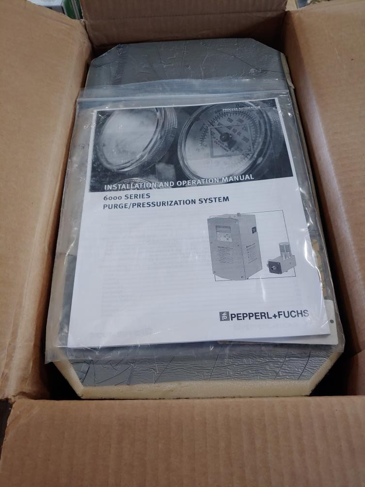 Pepperl & Fuchs 6000 Series Purge / Pressurization System Model 6000 Type X
