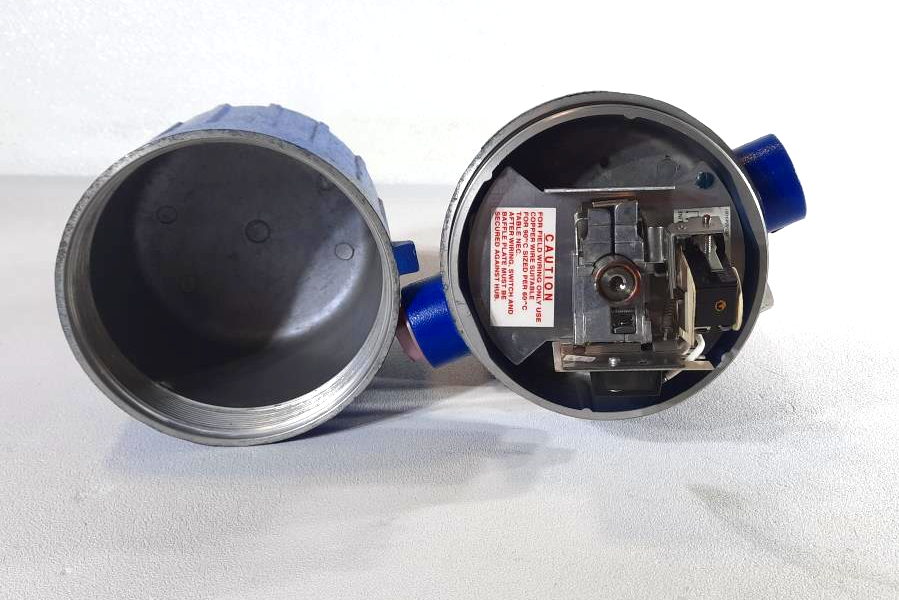 Magnetrol Level Switch B24-1B10-CKP