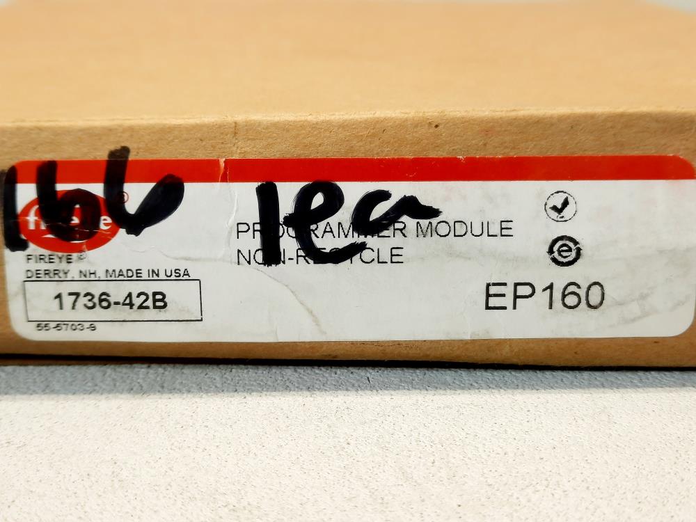 Fireye Program Module EP160