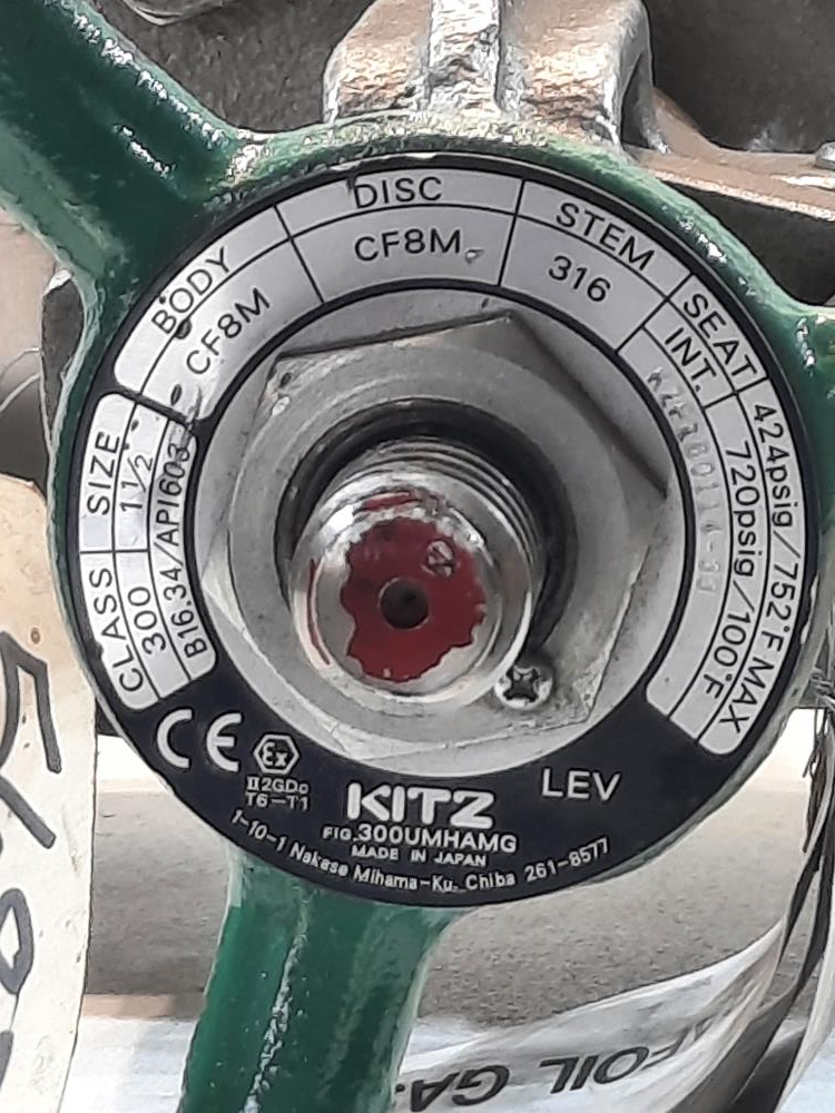 Kitz 2-1/2" x 1-1/2" 300# CF8M Steam Jacket Gate Valve B16.34