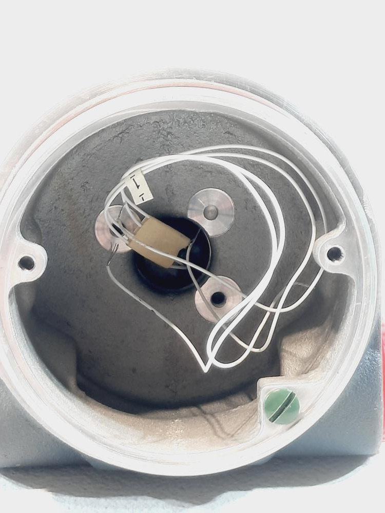 Magnetrol Thermal Dispersion Switch TD2-8D00-030/TEM-A110-001