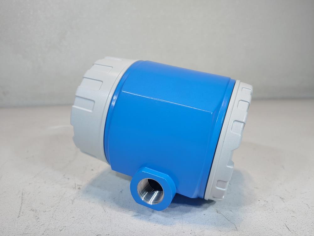 Endress Hauser iTemp TMT162 Smart Temperature Field Transmitter TMT162 ...