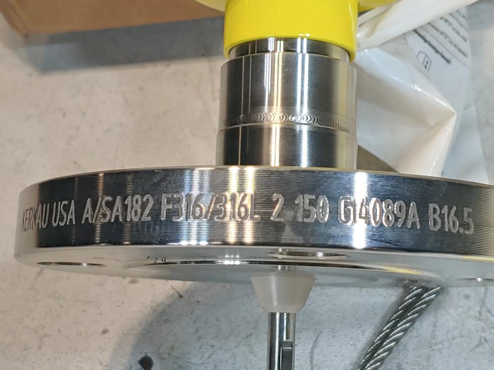 Vega Vegaflex 81 Level Sensor FX81FECABGHXANXX w/ 2" 150# SS Flange