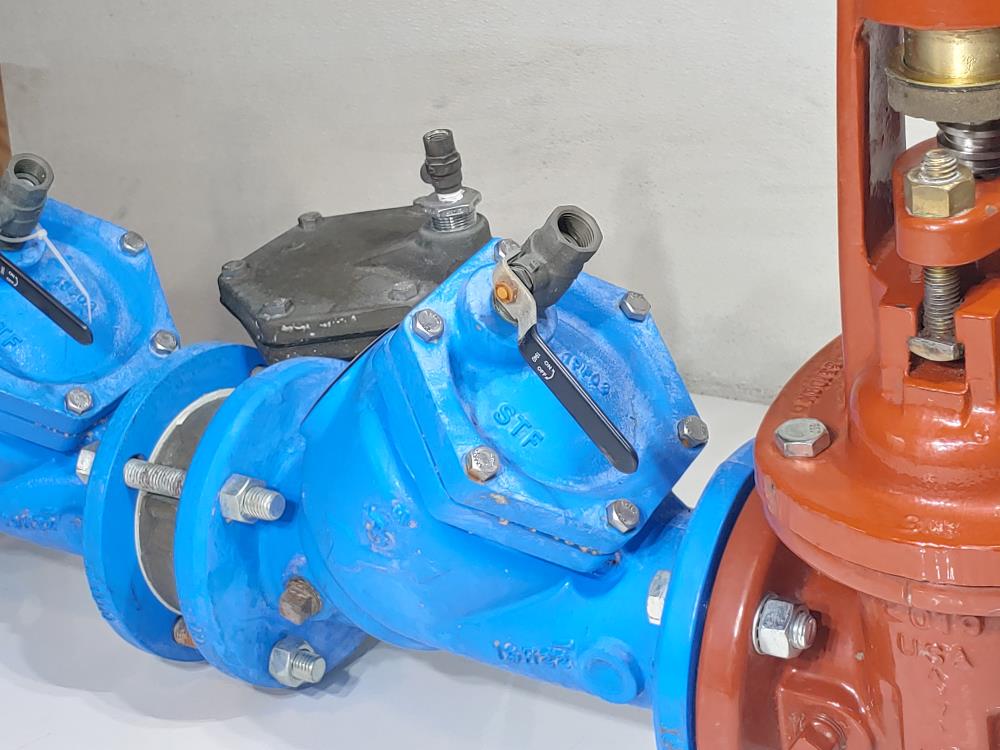 WATTS LF909 Reduced Pressure Zone Assembly