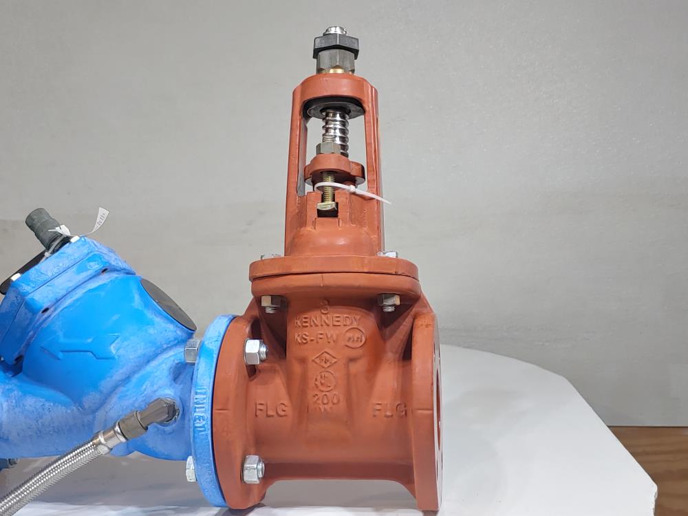 WATTS LF909 Reduced Pressure Zone Assembly