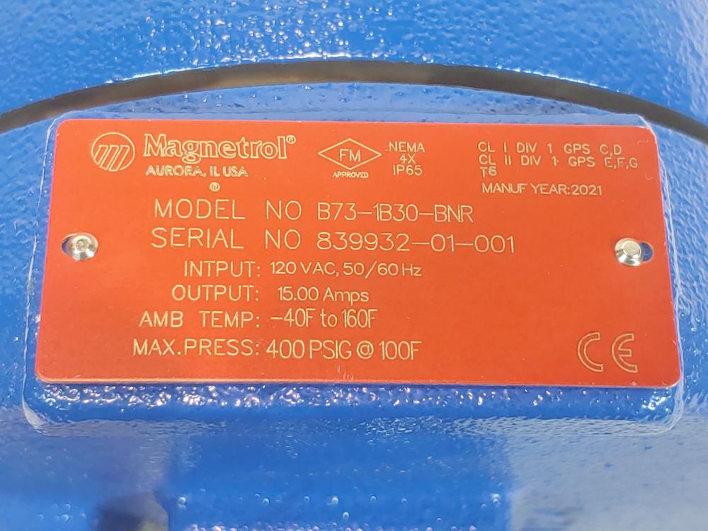 Magnetrol 1" NPT Liquid Level Float Switch B73-1B30-BNR