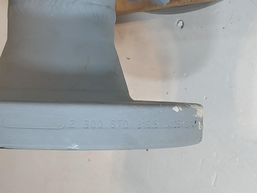 Protectoseal Series 25000 Detonation Flame Arrester Model: C25002/0147