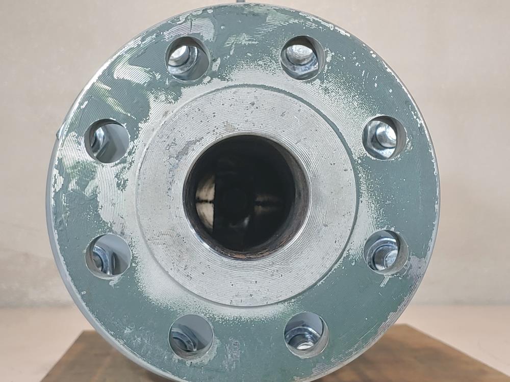 Protectoseal Series 25000 Detonation Flame Arrester Model: C25002/0147
