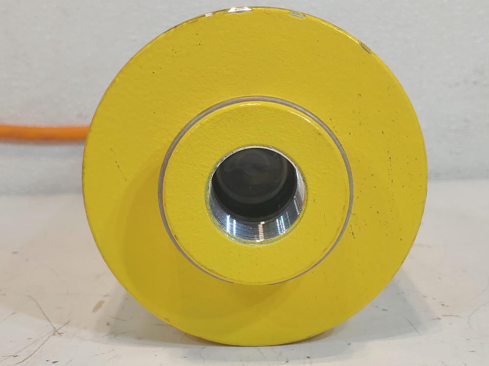 BFI Automation CFC20001R1 Flame Controller w / Flammenwatcher