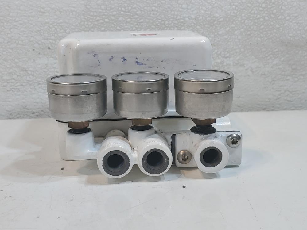 Flowserve Valtek Series Valve Positioner 130157.999.000