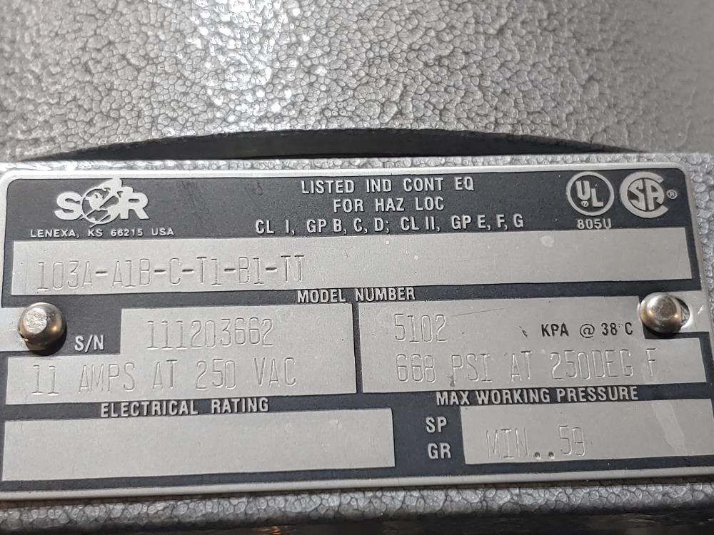 SOR 6" 300# Flanged Chamber Level Switch 103A-A1B-C-T1-B1-TT