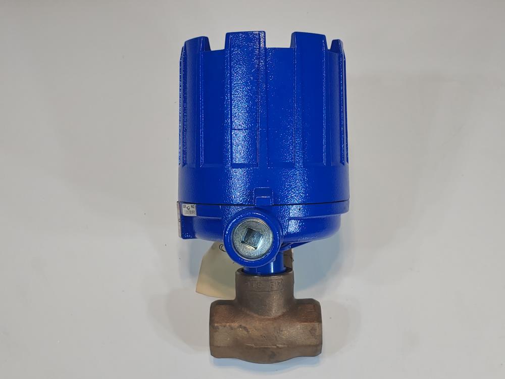 Magnetrol Flow Switch F50-1B2C-BKP