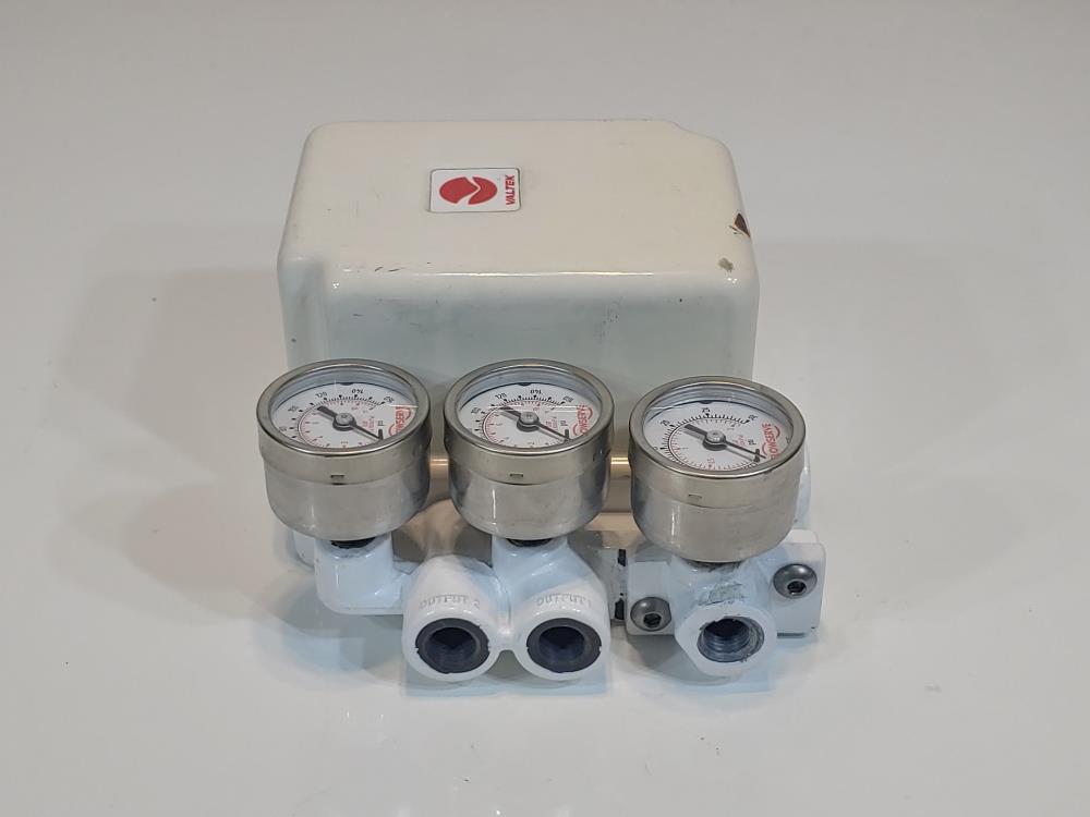 Flowserve Valtek Series Valve Positioner 130161.999.000