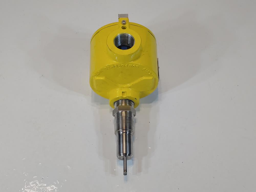 FCI FLT93S Level Switch Model#: FLT93S-1B1A20WC1B01000