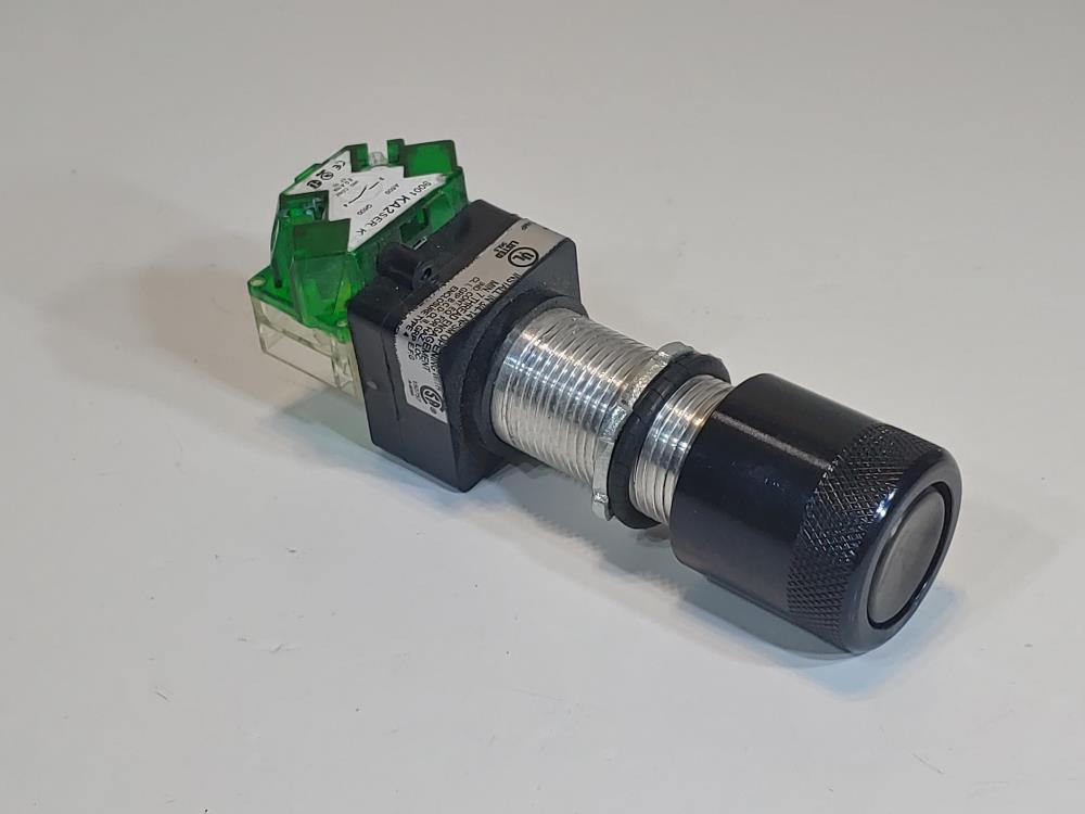 EGS E87975 Selector Switch EP SERIES