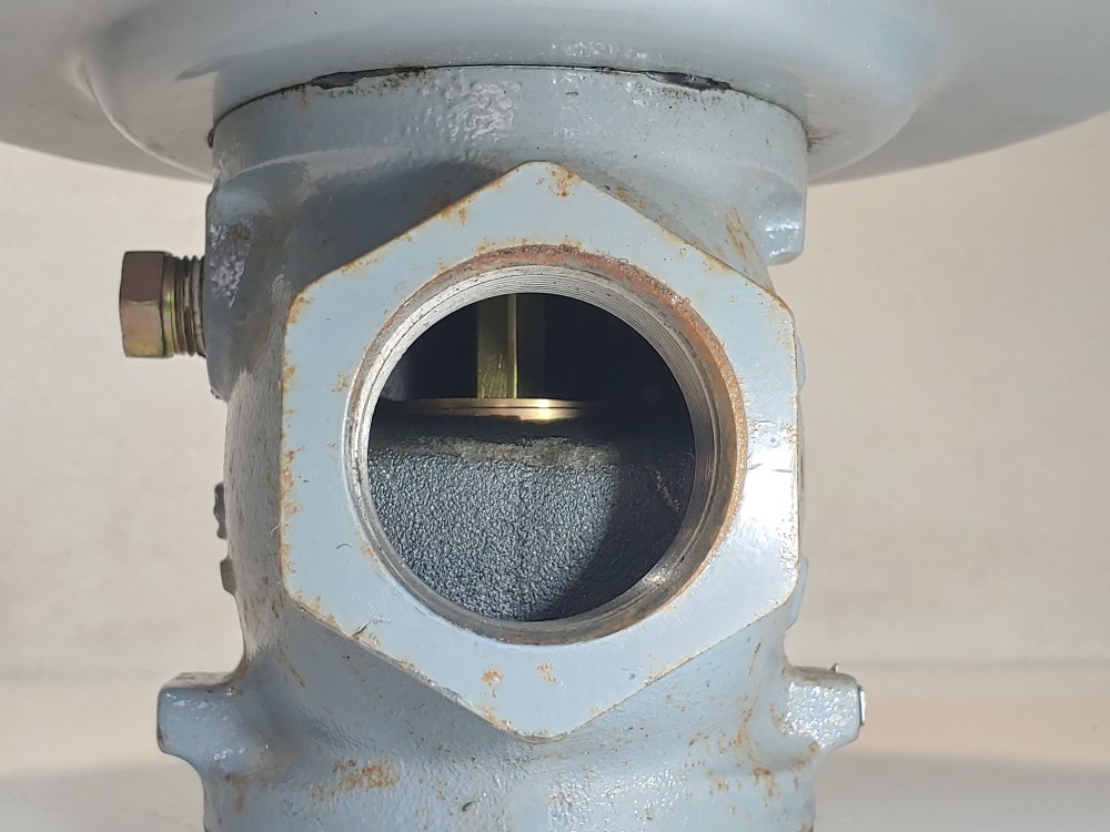 Fisher Controls 66R-1 Low-Pressure Relief Valves 2" NPT