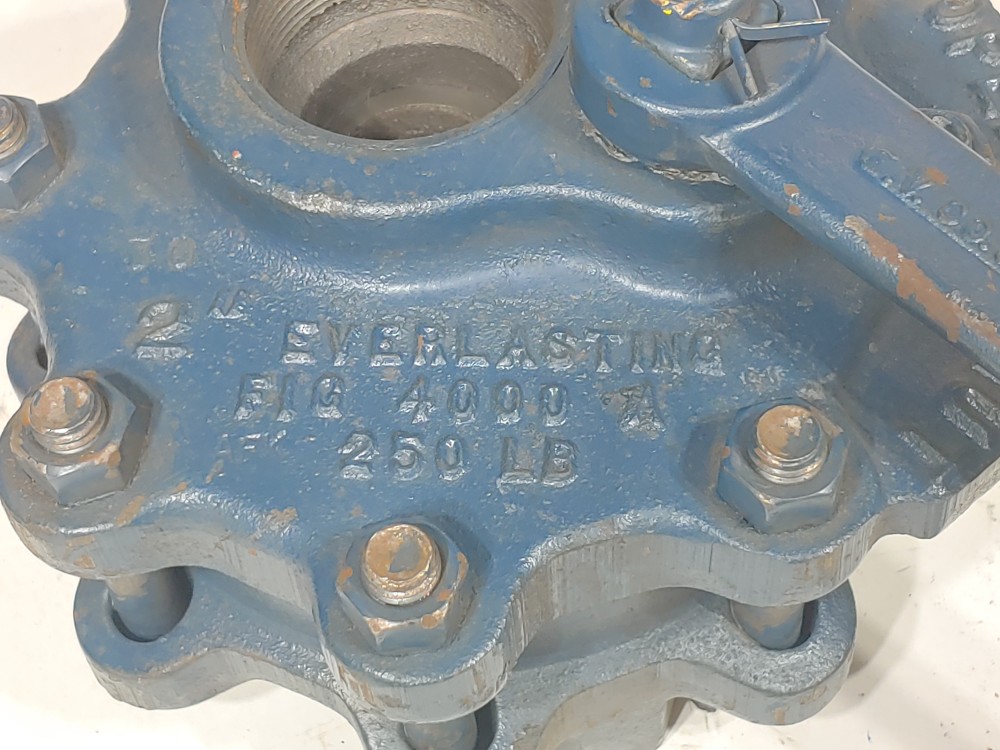 Everlasting Type 4000 A 2" 250# Quick Opening Blowdown Valve