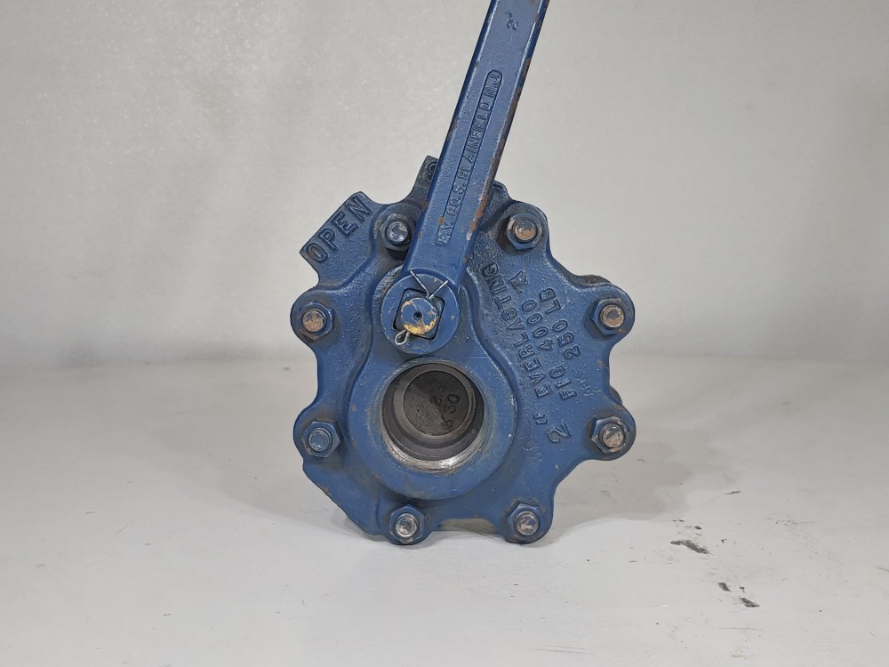 Everlasting Type 4000 A 2" 250# Quick Opening Blowdown Valve