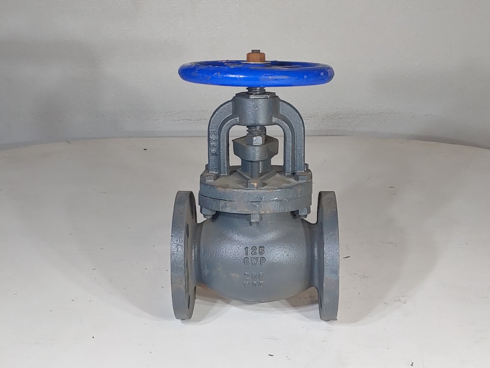 NIBCO 2-1/2" 125 SWP/200WOG Flanged IBBM Globe Valve