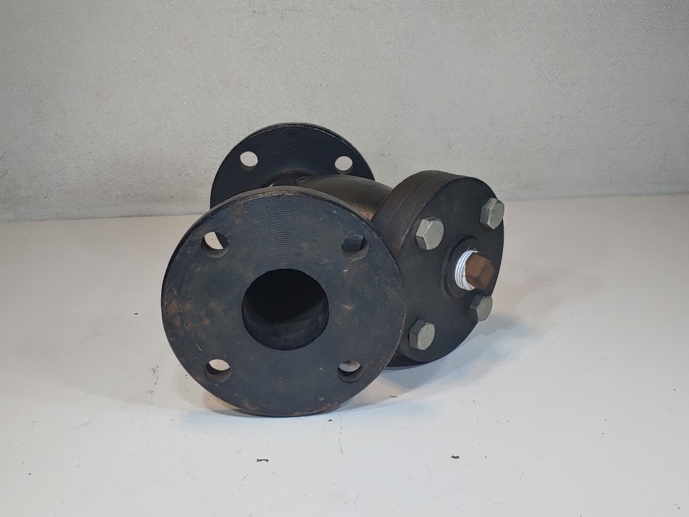 Sure Flow YF-125 2-1/2" 125# RF Flanged Y Strainer