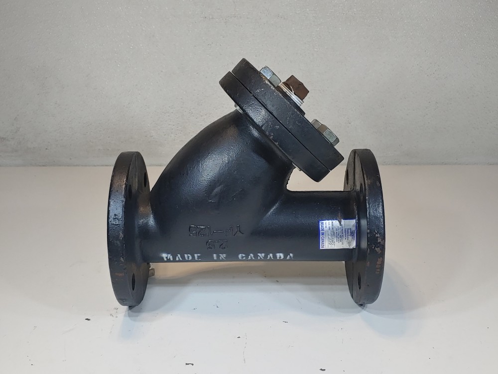 Sure Flow YF-125 2-1/2" 125# RF Flanged Y Strainer
