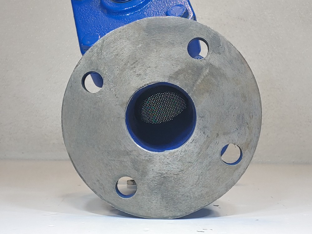 Sure Flow 2-1/2" 125# SWP C1-A126 Flanged Wye Y-Strainer YF-125J