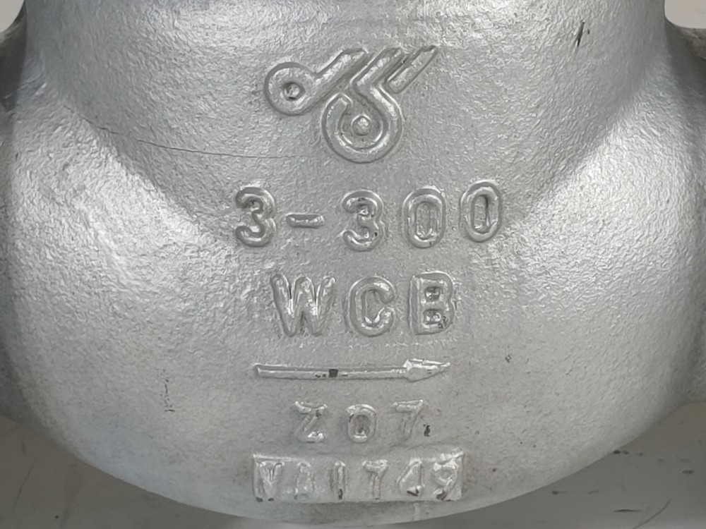 DSI 3" 300# WCB RF Flanged Swing Check Valve FIG#: 149 XU