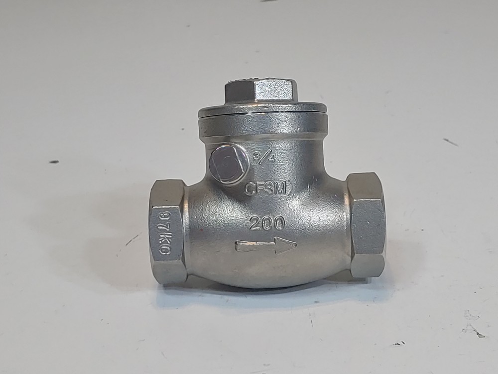 Powell 3/4" 200 PSI Threaded End CF3M Swing Check C 1847 / V-216