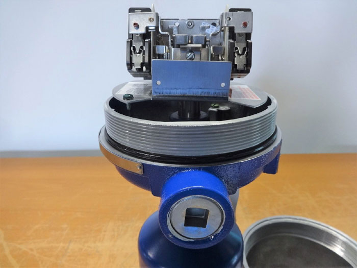 MAGNETROL SEALED EXTERNAL CAGE LIQUID LEVEL SWITCH B73-1B20-CNP