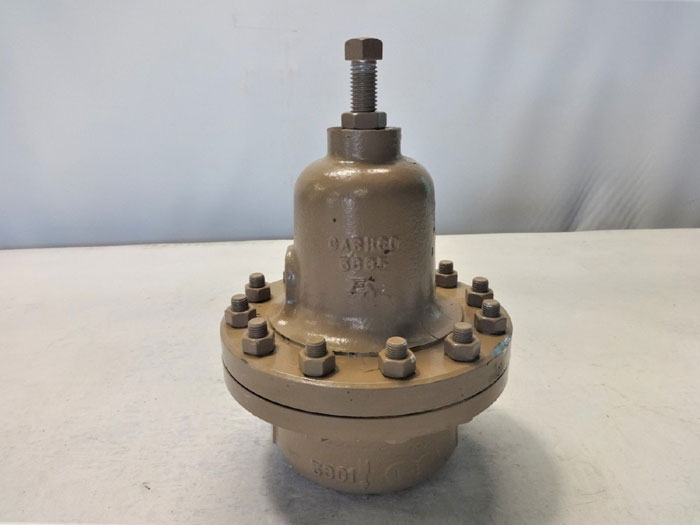CASHCO 1" 123 CS/CS/S3N BACK PRESSURE RELIEF REGULATOR 8B6-5SC7-18000000C