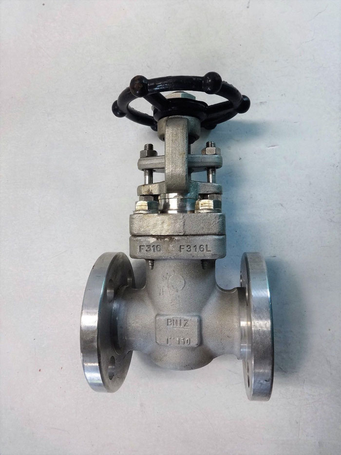 DSI 1" 150# 316 STAINLESS STEEL GATE VALVE, #1131-E16-18