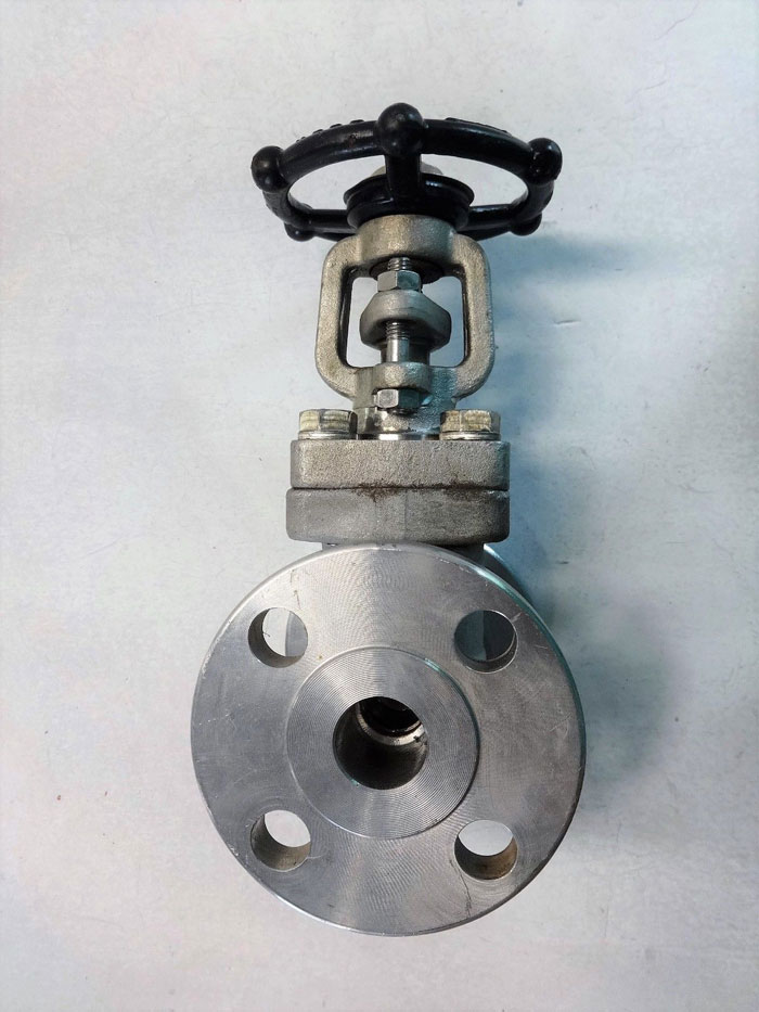 DSI 1" 150# 316 STAINLESS STEEL GATE VALVE, #1131-E16-18
