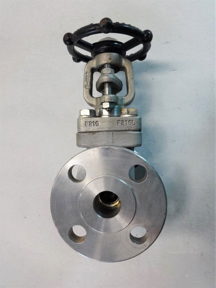 DSI 1" 150# 316 STAINLESS STEEL GATE VALVE, #1131-E16-18