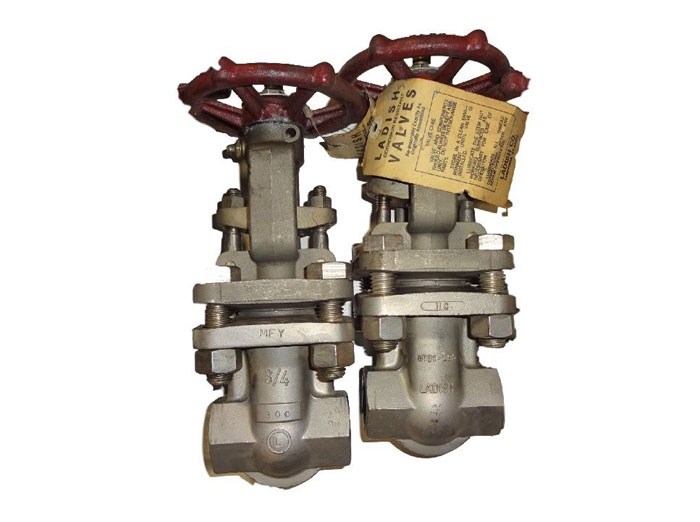 LOT OF (2) LADISH GATE VALVES 3/4" 300# SCREW END - HASTELLOY C (#50)