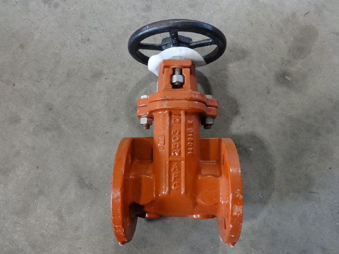 AMERICAN FLOW CONTROL 3" GATE VALVE