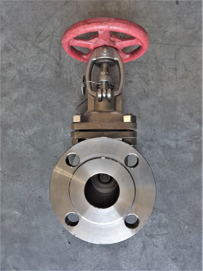 ALOYCO 2" 150# CF8M GATE VALVE 117F