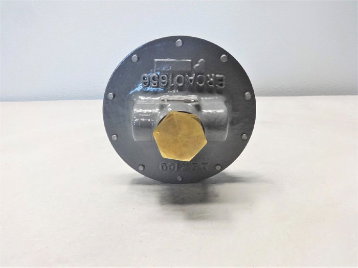 Fisher MR95L Pressure Regulator, 1/2" NPT, 250 PSI Max